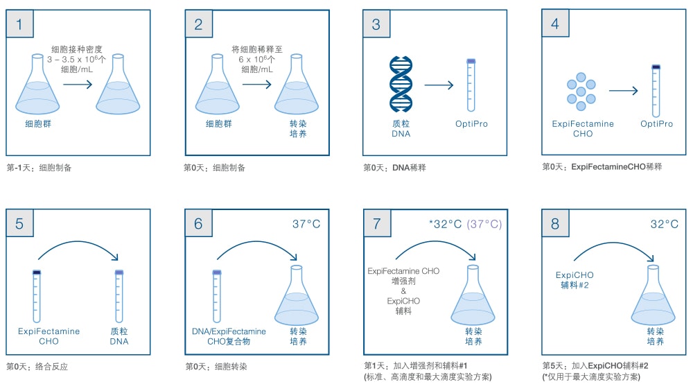 抗体药物的研发 | Thermo Fisher Scientific - CN