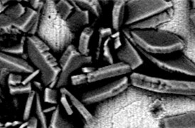 Desktop SEM | Phenom XL G2 | Thermo Fisher Scientific - CN