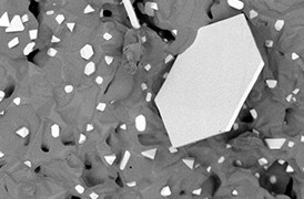 高分辨率STEM显微镜 | Spectra 300 TEM | 赛默飞 | Thermo Fisher Scientific - CN