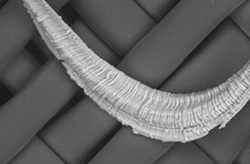 Desktop SEM | Phenom XL G2 | Thermo Fisher Scientific - CN