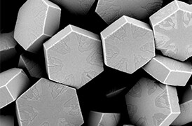 Desktop SEM | Phenom XL G2 | Thermo Fisher Scientific - CN