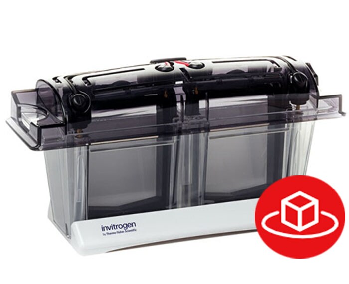 Mini Gel Tank 小型垂直电泳槽 | Thermo Fisher Scientific - CN