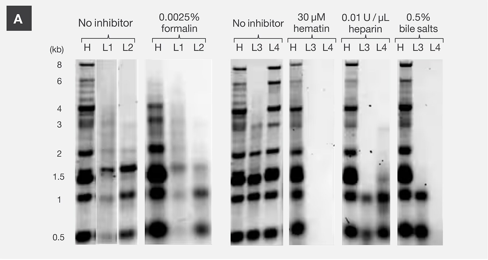 Reverse Transcriptase Properties | Thermo Fisher Scientific - CO