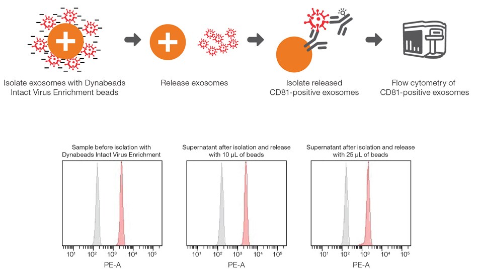 Intact Virus and Exosome Enrichment | Thermo Fisher Scientific - HK
