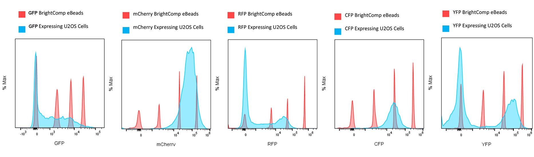 Flow Cytometry Compensation Beads | Thermo Fisher Scientific - HK