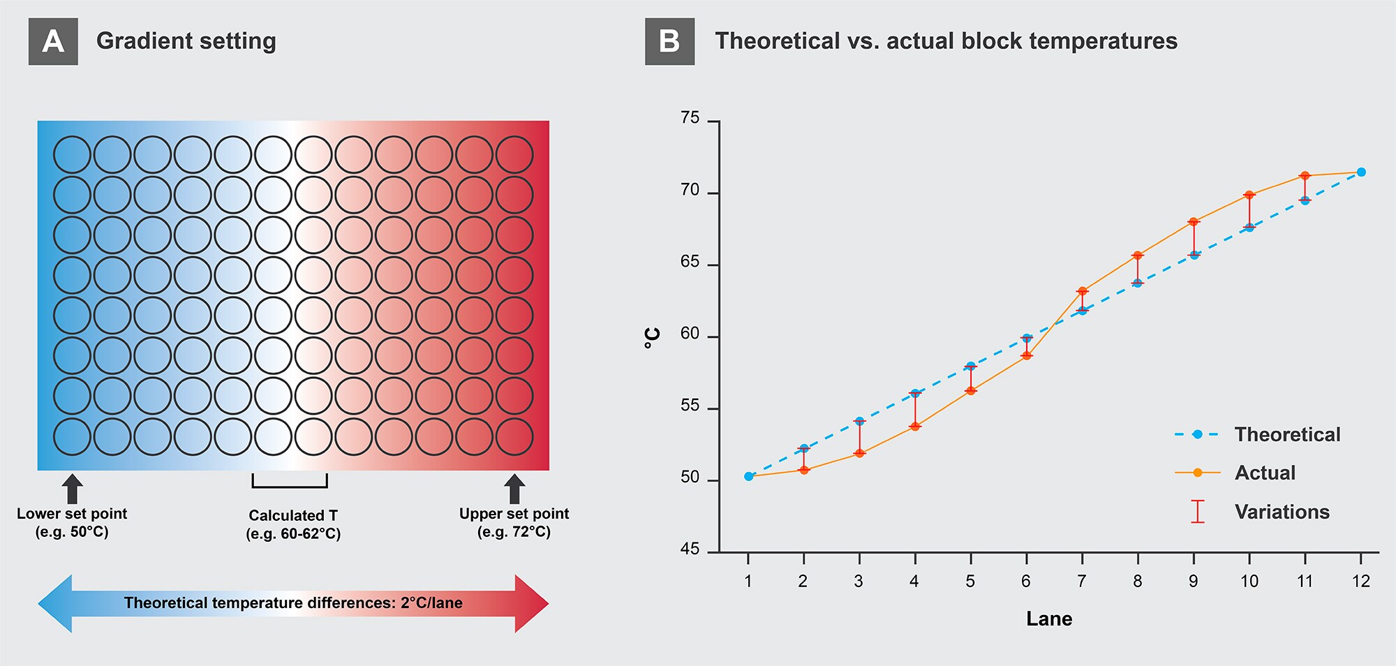 Six Key Considerations for Selecting a PCR Thermal Cycler | Thermo ...