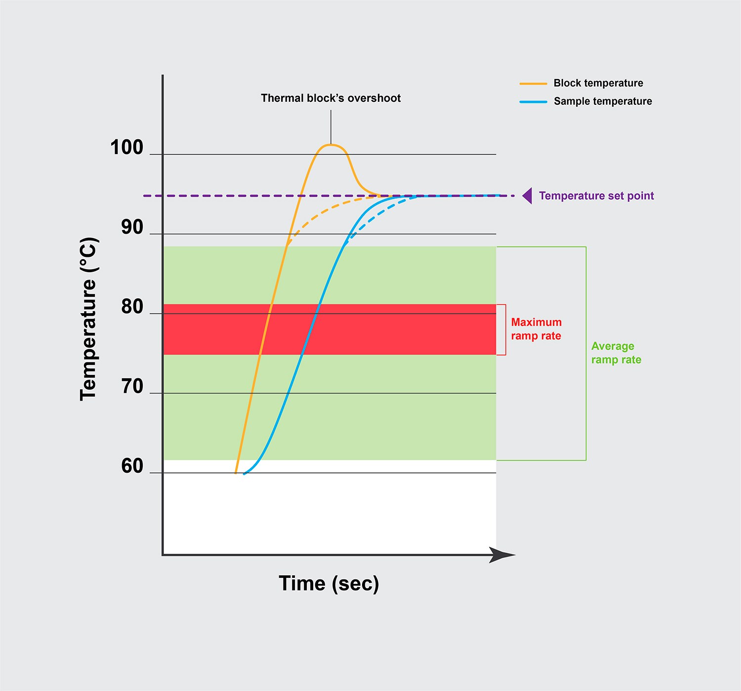 Six Key Considerations for Selecting a PCR Thermal Cycler | Thermo ...