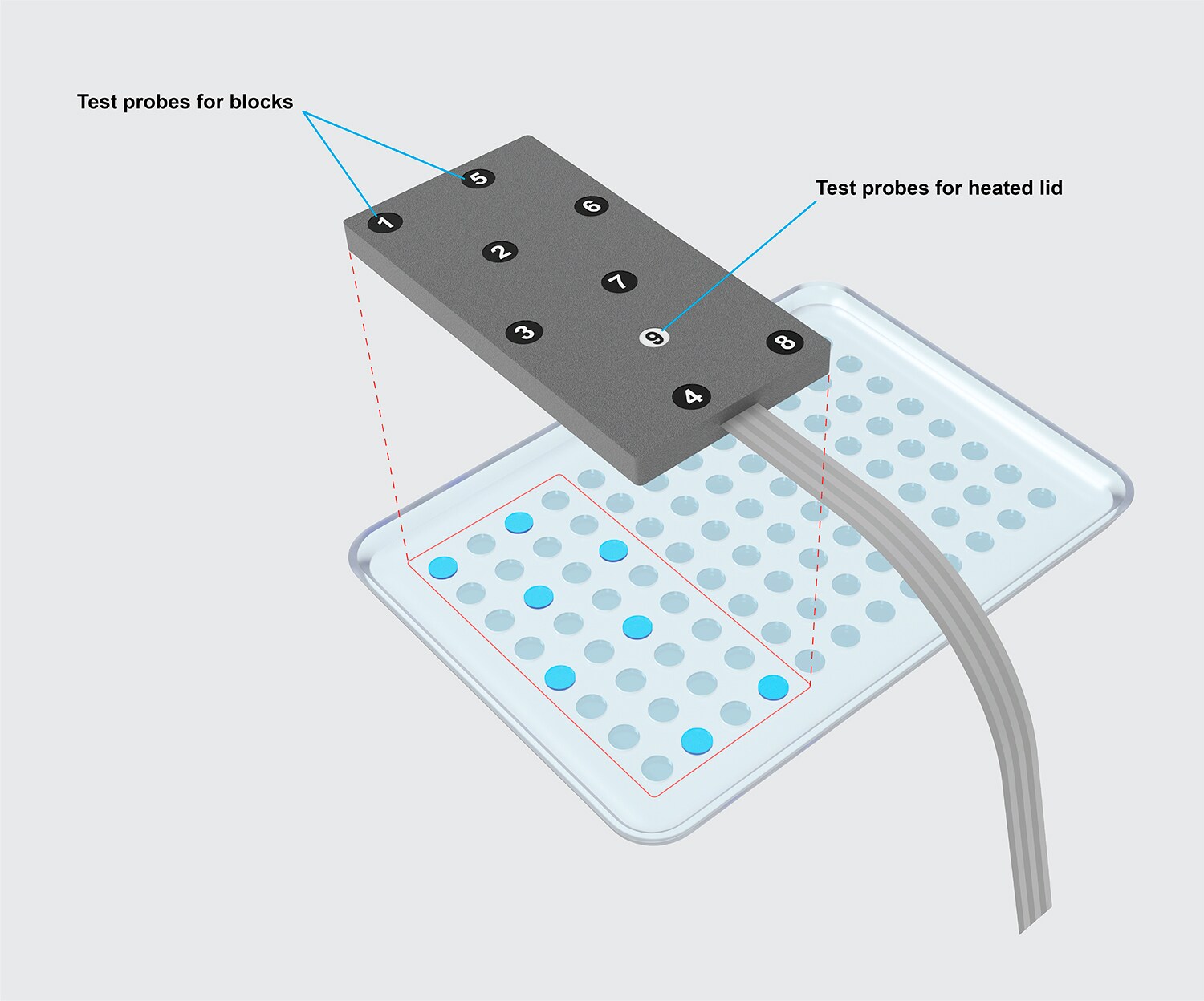 Six Key Considerations for Selecting a PCR Thermal Cycler | Thermo ...