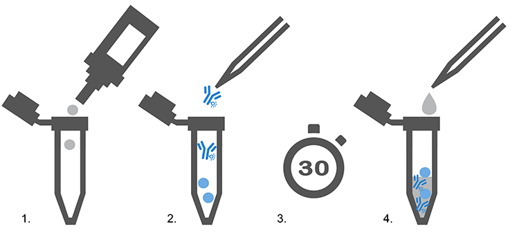 Flow Cytometry Compensation Beads | Thermo Fisher Scientific - KR