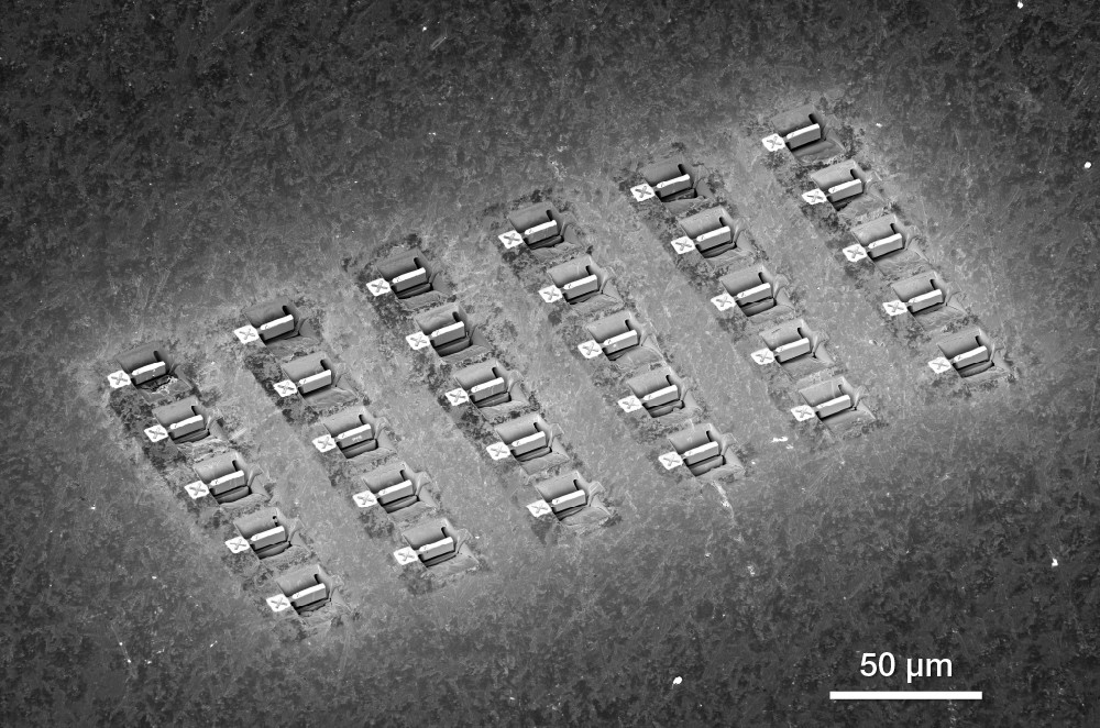S/TEM Sample Preparation | Thermo Fisher Scientific - MD