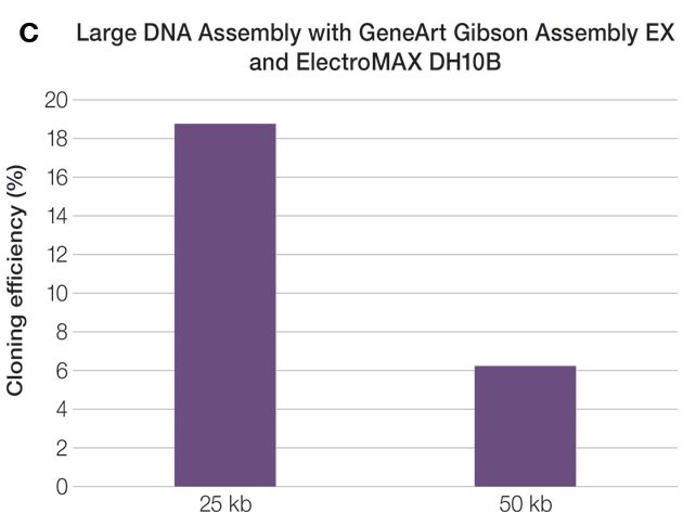 DNA Cloning Tips–Build Clones with DNA Fragments using Gibson Assembly ...