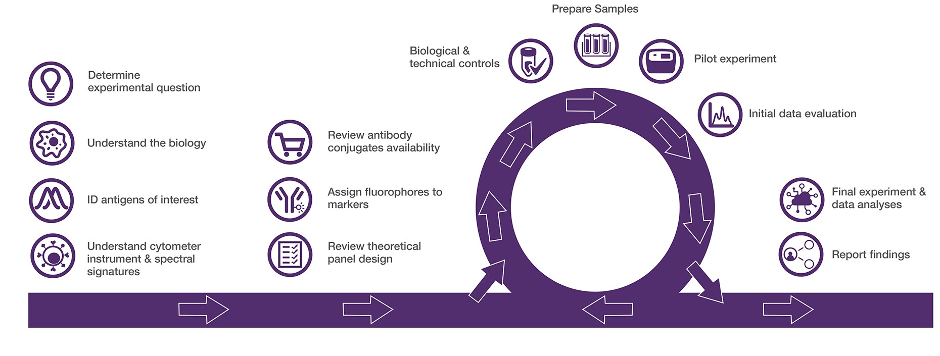 Spectral Flow Cytometry Panel Evaluation | Thermo Fisher Scientific - RO