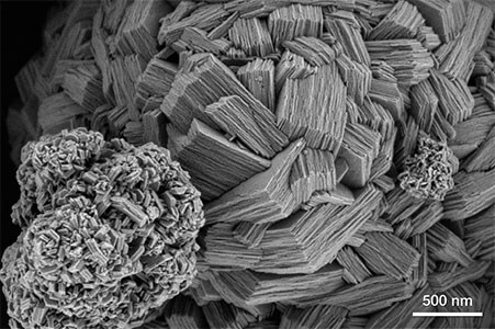 Scanning Electron Microscope | Apreo 2 SEM | Thermo Fisher Scientific - SG