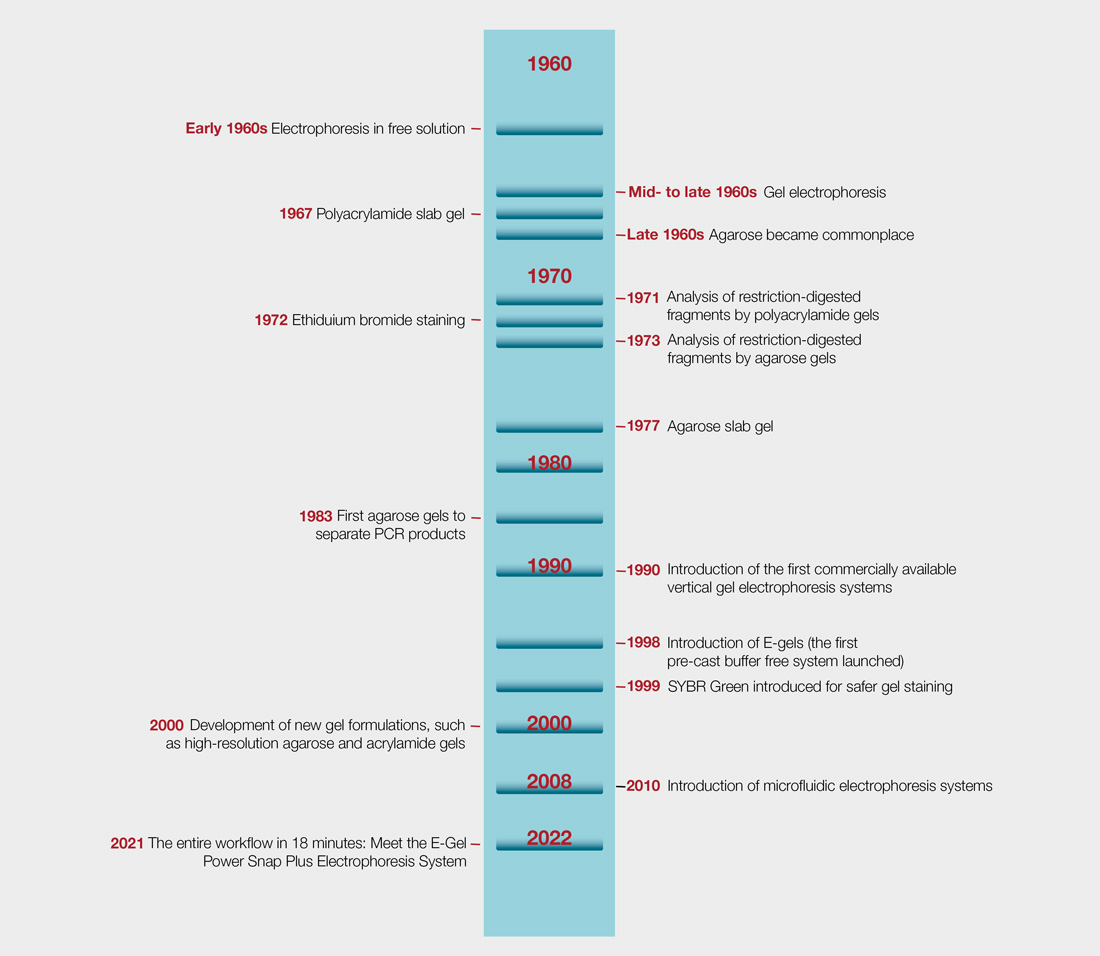 Nucleic Acid Gel Electrophoresis—Overview and History | Thermo Fisher ...
