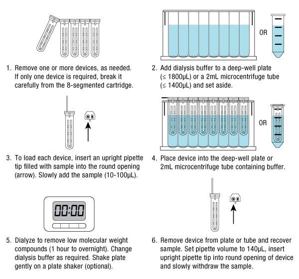 System for High-Throughput, High-Yield In Vitro Translation | Thermo ...