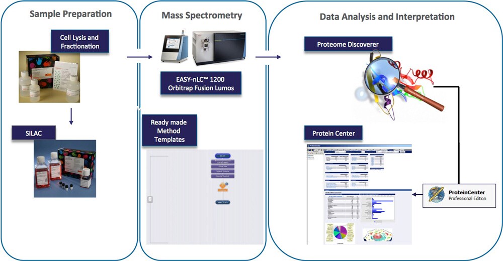 SILAC Quantitation | Thermo Fisher Scientific - UK