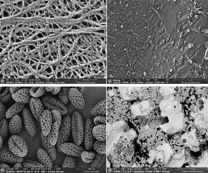 Scanning Electron Microscope | Apreo 2 SEM | Thermo Fisher Scientific - US