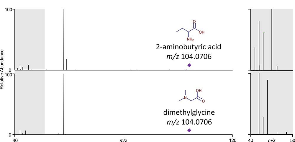 Orbitrap Exploris 240 Mass Spectrometer | Thermo Fisher Scientific - WS